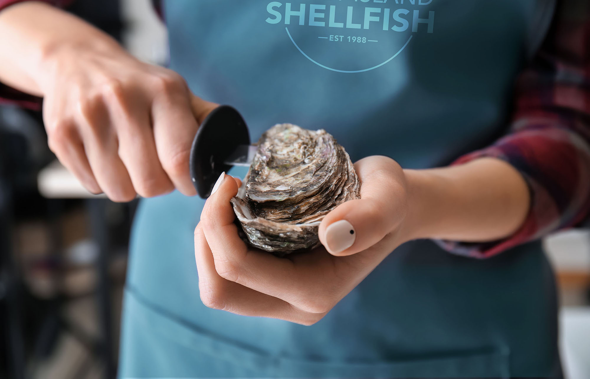 Home - coneyislandshellfish